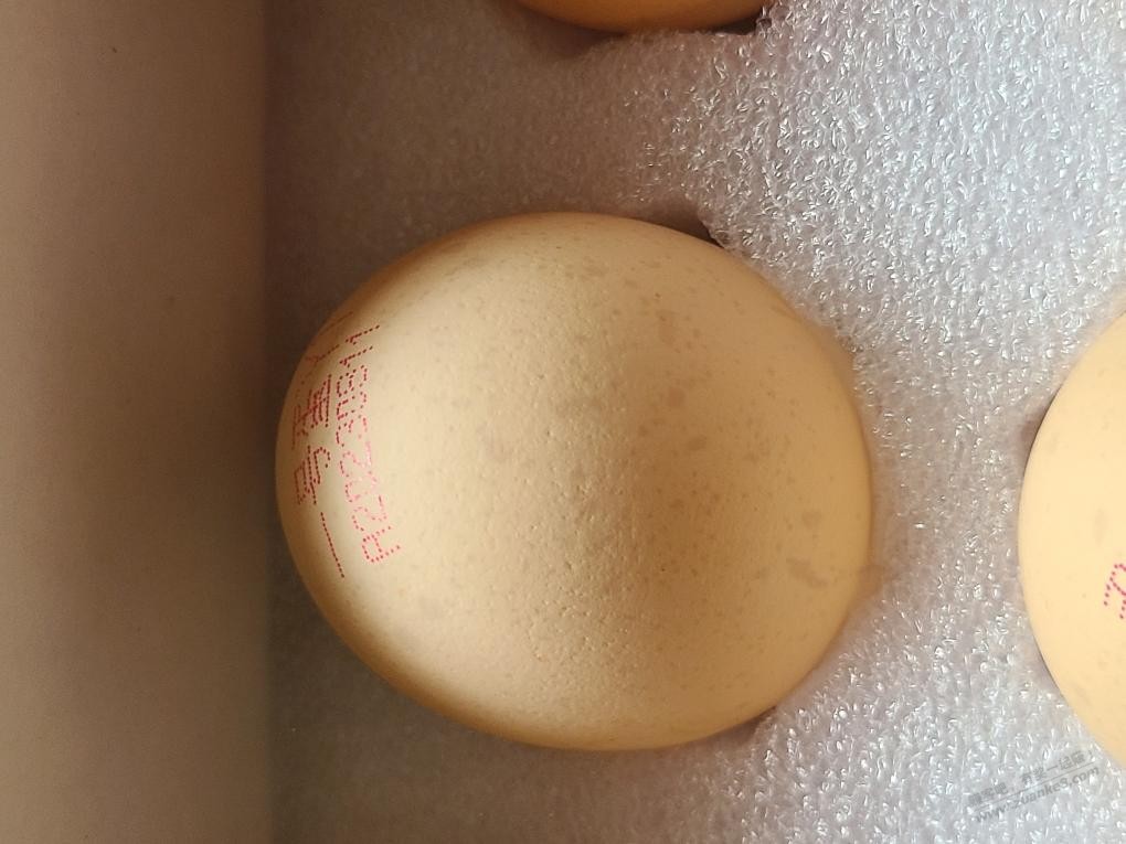 一号店的鸡蛋最近不行啊-最新线报活动/教程攻略-0818团